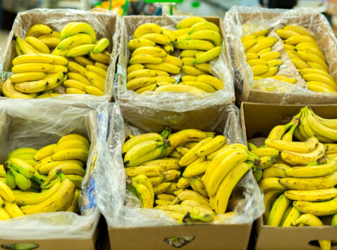 Mal comienzo para las exportaciones de banano peruano fresco en el 2025 ...