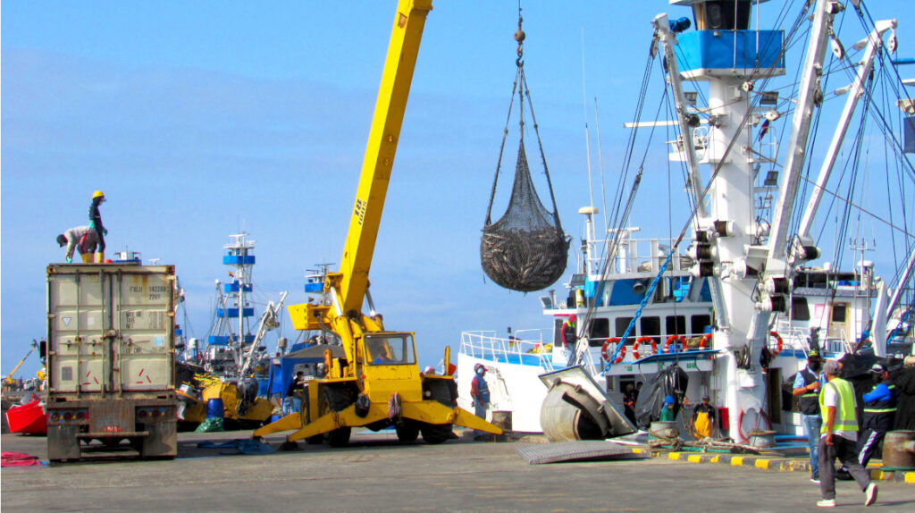 Puerto pesquero de Manta lleva ocho años sin reparación | El Productor