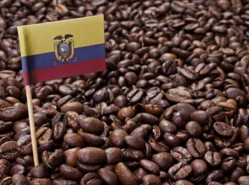 Café ecuatoriano orgánico y libre deforestación conquista los paladares ...